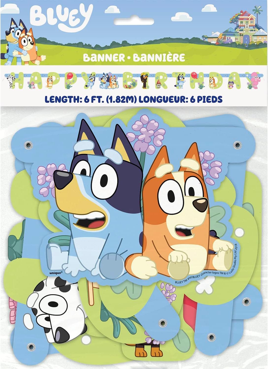 Bluey Jointed Banner - 6 ft – PandoraParty